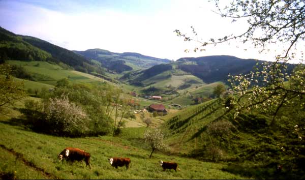 Kinzigtal - Aktiv durch das Kinzigtal